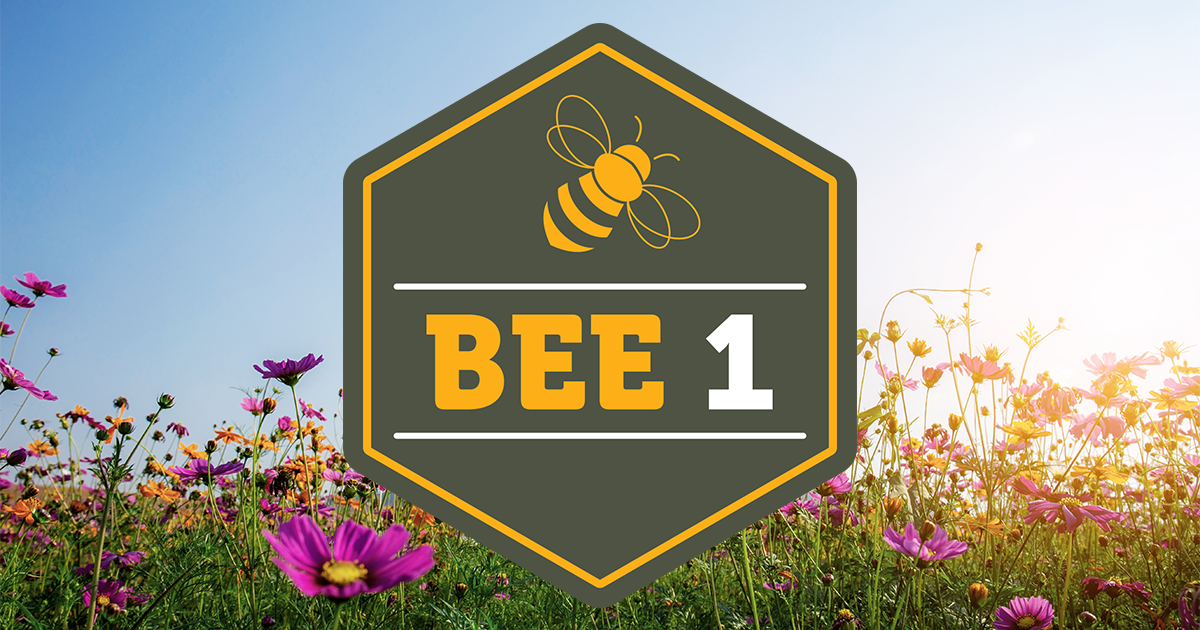 Home - Bee1